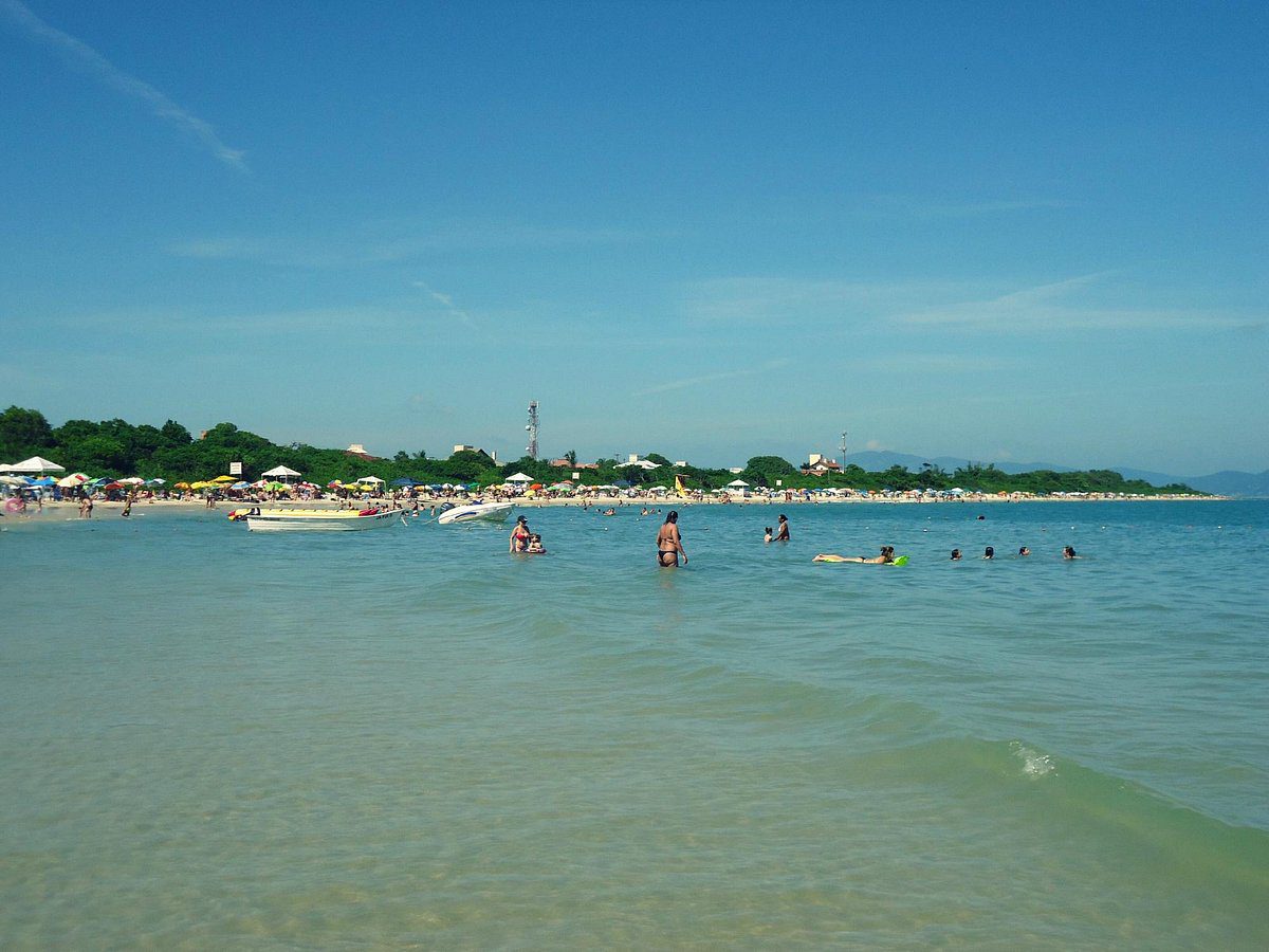 Praia da Daniela, norte da Ilha - Like Floripa